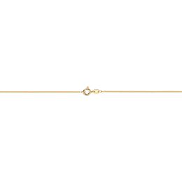 Firetti Damen Collierkettchen "Schmuck Geschenk Gold 333 oder 585 Halskette Panzerkette diamantiert", 38, Gelbgold 333, B: 1,7mm, gold, Gelbgold 333,