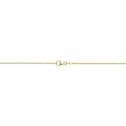 Firetti Damen Collierkettchen "Schmuck Geschenk Gold 333 oder 585 Halskette Ankerkette rund", 60, Gelbgold 333, B: 1,9mm, gold, Gelbgold 333,