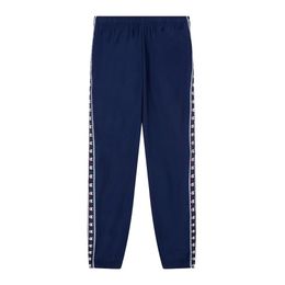 Champion Authentic Athletic Apparel Pants male Blue size L
