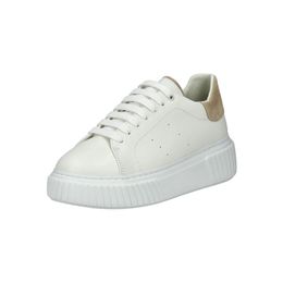 Marc O'Polo Marc O'polo Sneaker Damen Gr&ouml;&szlig;e 40 dunkelbeige / wei&szlig;