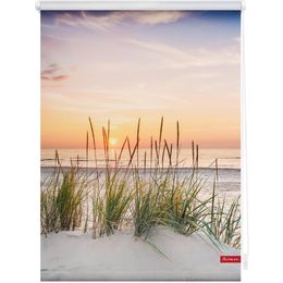 Seitenzugrollo LICHTBLICK ORIGINAL "Rollo Klemmfix, ohne Bohren, blickdicht, Nordseestrand", rot (rot, wei&szlig;, wei&szlig;), B:60cm H:150cm, Polyester, Rollos, Seitenzugrollo
