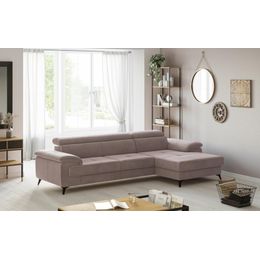 Ecksofa COTTA, B:300cm H:80cm T:169cmcacao, 95% Polyester (PES) 5%Polyamid (PA), Wohnzimmer, Sofas, "Astra L-Form, Breite 300 cm", inkl.