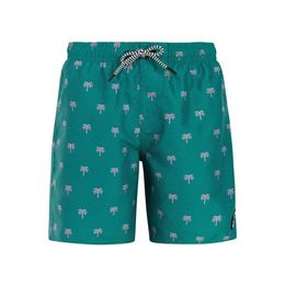 Protest Board Shorts 'PRTCalvin JR' boy Green size 152
