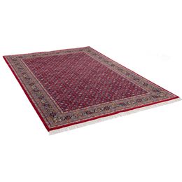 Orientteppich Theko "Benares Herati" Gr. 32, rot, B:40cm H:12mm L:60cm, Schurwolle, Teppiche, Fransenteppich, reine Wolle, handgekn&uuml;pft, mit Fransen