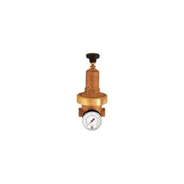 Riegler Druckregler DRV 250, Niederdruckausf&uuml;hrung, G 3/8, 0,2 - 2 bar (300.02)