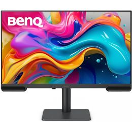 BenQ PV3200U grau