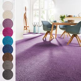 ANDIAMO Teppichboden &raquo;Sophie, Frisee-Velours, Made in Netherlands&laquo; rechteckig 12 mm H&ouml;he Uni Farben, Breite 400 cm oder 500 cm, strapazierf&auml;hig & pflegeleicht