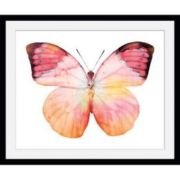 queence Bild &raquo;Elli&laquo; Insekten Kunst Schmetterlinge 1 Stk. tlg. HD Premium Poster-Druck inkl. Holzrahmen rosa Acrylglas, Holz, Papier