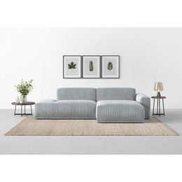 Trendmanufaktur Ecksofa &raquo;Braga, mit hochwertigem Kaltschaum, L-Form, in Cord erh&auml;ltlich&laquo; modernes Sofa, Couch mit hohem Sitzkomfort, 275/72/160 cm (B/
