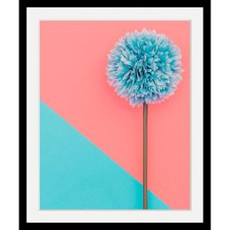 queence Bild &raquo;Pusteblume&laquo; Blumen Blumenbilder Kunst Pflanzen HD Premium Poster-Druck inkl. Holzrahmen bunt Acrylglas, Holz, Papier
