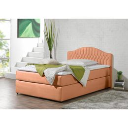 Maintal Boxspringbett in diversen Ausf&uuml;hrungen orange Seitliche Einfassung Unterbox und Obermatratze: Mikrovelours (100% Polyester);Spiegelfl&auml;che der Unterbox