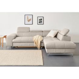 COTTA Ecksofa &raquo;Chef L-Form&laquo; mit Kopfteilverstellung, edle Metallkufen, wahlweise mit Bettfunktion beige Luxus-Microfaser (100% Polyester);Kunstleder 
