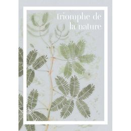 Komar Bild &raquo;PLANT ART Triomphe de la nature&laquo; Natur 1 Stk. tlg. Wandbild zur Dekoration - ohne Rahmen blau Holz, Papier