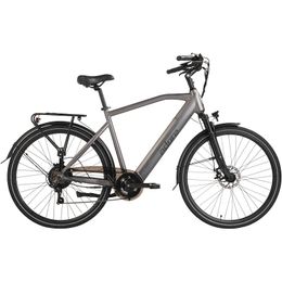 Adore Unisex &raquo;CV-190&laquo; 7 Gang Shimano Tourney Schaltwerk Kettenschaltung Heckmotor 250 W Pedelec, Elektrofahrrad f&uuml;r Damen u. Herren grau