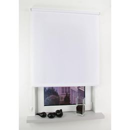 Liedeco Seitenzugrollo &raquo;Easy&laquo; Lichtschutz Perlreflex-beschichtet freih&auml;ngend Seitenzugrollo Easy wei&szlig; Polyester