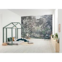 Komar Fototapete &raquo;Digitaldruck Vlies - Wood Wide Web - Gr&ouml;&szlig;e 400 x 280 cm&laquo; bedruckt glatt Wohnzimmer, Schlafzimmer bunt Vlies