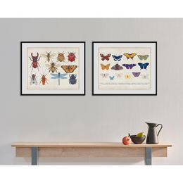 queence Bild &raquo;Das Gro&szlig;e Krabbeln&laquo; Insekten Kunst Schmetterlinge 1 Stk. tlg. HD Premium Poster-Druck inkl. Holzrahmen bunt Acrylglas, Holz, Papier