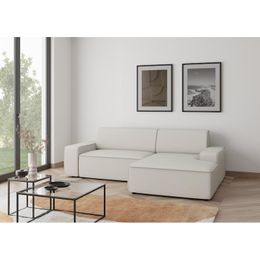 Trendmanufaktur Ecksofa &raquo;Graz, wahlweise mit Sitzvorschub und Bettkasten, L-Form, Breite 246 cm&laquo; in Cord-, haustierfreundlichem LEO Struktur- oder 