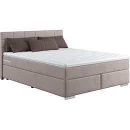 COTTA Boxspringbett &raquo;Simba&laquo; Topseller! wahlweise mit oder ohne Matratze und Topper bestellbar grau Polyester