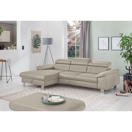 COTTA Ecksofa &raquo;Komaris L-Form, B: 244 cm&laquo; mit Kopfteilverstellung, optional Bettfunktion, Bettkasten & Licht grau Microfaser PRIMABELLE (100% 