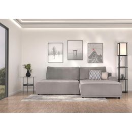 Trendmanufaktur Ecksofa &raquo;Fordon II, Schlafsofa mit Bettkasten, Couch in L-Form, Breite 250 cm&laquo; in Struktur fein LEO, haustierfreundlich, schlamm, 