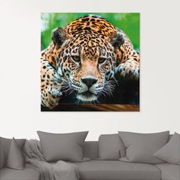 Artland Glasbild &raquo;S&uuml;damerikanischer Jaguar&laquo; Wildtiere 1 Stk. tlg. in verschiedenen Gr&ouml;&szlig;en braun