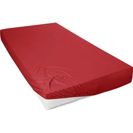 Primera Spannbettlaken &raquo;Mako-Feinjersey Spannbetttuch&laquo; Geeignet f&uuml;r Standardmatratzen bis 22 cm, 100% Baumwolle rot Mako-Jersey, Obermaterial: 100% Baumwolle