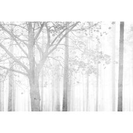 ARCHITECTS PAPER Fototapete &raquo;Atelier 47 Edge 2&laquo; Wald glatt Wald Fototapete Edge 4,00 m x 2,70 m 200 g Vlies Premium Tapete Natur grau Vlies