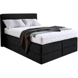 Westfalia Schlafkomfort Boxspringbett wahlweise mit Kaltschaum-Topper schwarz Microvelours (100% Polyester)
