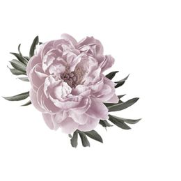 queence Wandtattoo &raquo;Amelie&laquo; Wandbild, Sticker, rosa, Blume, Bl&uuml;te, selbstklebend rosa Folie