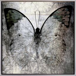 queence Leinwandbild &raquo;Butterfly&laquo; Abstrakt Kunst Schmetterlinge mit einem Schattenfugenrahmen veredelt schwarz Canvas, Holzrahmen
