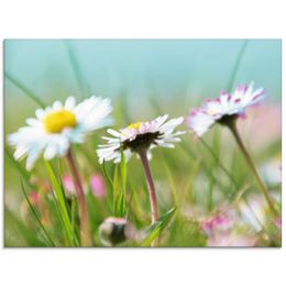 Artland Glasbild &raquo;G&auml;nsebl&uuml;mchen Romantik&laquo; Blumen 1 Stk. tlg. in verschiedenen Gr&ouml;&szlig;en blau Glas