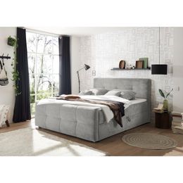 ED EXCITING DESIGN Boxbett &raquo;Winnipeg&laquo; 5 Stk. tlg. inkl. zwei Bettk&auml;sten und Topper grau 95% Polyester, 5% Nylon