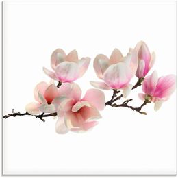 Artland Glasbild &raquo;Magnolie&laquo; Blumen 1 Stk. tlg. in verschiedenen Gr&ouml;&szlig;en pink Glas