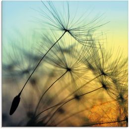 Artland Glasbild &raquo;Goldener Sonnenuntergang und Pusteblumen&laquo; Blumen 1 Stk. tlg. in verschiedenen Gr&ouml;&szlig;en gelb