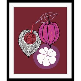 queence Bild &raquo;Marlene&laquo; Essen Figuren Kunst Lebensmittel Obst Obst Bilder 1 Stk. tlg. HD Premium Poster-Druck inkl. Holzrahmen lila Acrylglas, Holz, 