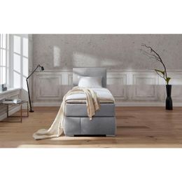 Home Affaire Boxspringbett &raquo;Wehma&laquo; inkl. Topper in 3 verschiedenen Matratzen, auch in Samtstoff grau Struktur fein (100% Polyester)