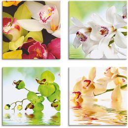 Artland Leinwandbild &raquo;Orchideen Blumen&laquo; Blumen 4 Stk. tlg. 4er Set, verschiedene Gr&ouml;&szlig;en bunt Leinwand, MDF