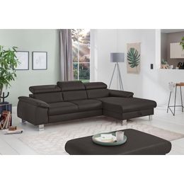 COTTA Ecksofa &raquo;Komaris L-Form, B: 244 cm&laquo; mit Kopfteilverstellung, optional Bettfunktion, Bettkasten & Licht braun Microfaser PRIMABELLE (100% 