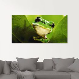 Artland Glasbild &raquo;Aussp&auml;hender Frosch&laquo; Wassertiere 1 Stk. tlg. in verschiedenen Gr&ouml;&szlig;en gr&uuml;n Glas