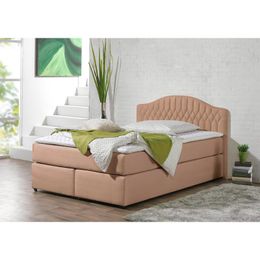 Maintal Boxspringbett in diversen Ausf&uuml;hrungen braun Seitliche Einfassung Unterbox und Obermatratze: Mikrovelours (100% Polyester);Spiegelfl&auml;che der Unterbox 
