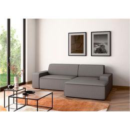 Trendmanufaktur Ecksofa &raquo;Graz, wahlweise mit Sitzvorschub und Bettkasten, L-Form, Breite 246 cm&laquo; in Cord-, haustierfreundlichem LEO Struktur- oder 