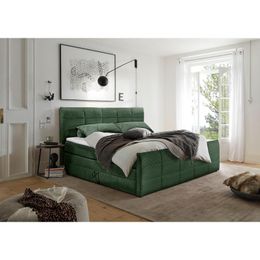 ED EXCITING DESIGN Boxspringbett &raquo;Bolivia&laquo; harte Seite mit Kokosmatte, weiche Seite mit Filzabdeckung gr&uuml;n 92% Polyester, 8% Nylon