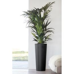 Ecopots Blumentopf &raquo;Amsterdam&laquo; &Oslash;xH: 32x72 cm grau Kunststoff