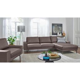 Creation BY ROLF BENZ Ecksofa &raquo;CR.450, Designecksofa, L-Form&laquo; Armlehne breit und niedrig, Alugussf&uuml;&szlig;e in umbragrau, Breite 274 cm beige Luxus-