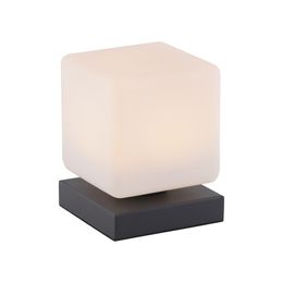 Paul Neuhaus Tischleuchte &raquo;DADOA&laquo; LED-Board 1 Stk. Warmwei&szlig; LED, dimmbar &uuml;ber Touchdimmer grau