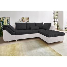Collection AB Ecksofa &raquo;Sally L-Form&laquo; mit und ohne Bettfunktion, inklusive loser R&uuml;cken- und Zierkissen schwarz-wei&szlig; Microfaser PRIMABELLE (100% 
