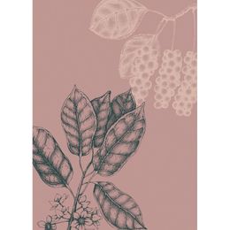 Komar Bild &raquo;Wild Berry&laquo; Natur 1 Stk. tlg. Wandbild zur Dekoration - ohne Rahmen rosa Holz, Papier