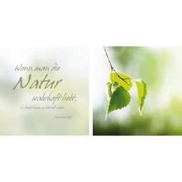 queence Leinwandbild &raquo;Natur&laquo; Bl&auml;tter Bl&auml;tterbilder Kunst Modern Schriftzug Schriftz&uuml;ge Spa Spa Bilder Spr&uuml;che Spr&uuml;che & Texte Set, Premium-