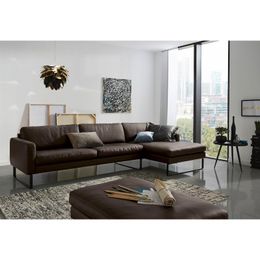 3C Candy Ecksofa &raquo;Aidan modernes Sofa in aktueller Formensprache, bequem, L-Form&laquo; eleganter Stil mit hohem Sitzkomfort, auch mit Lederbezug braun 100%